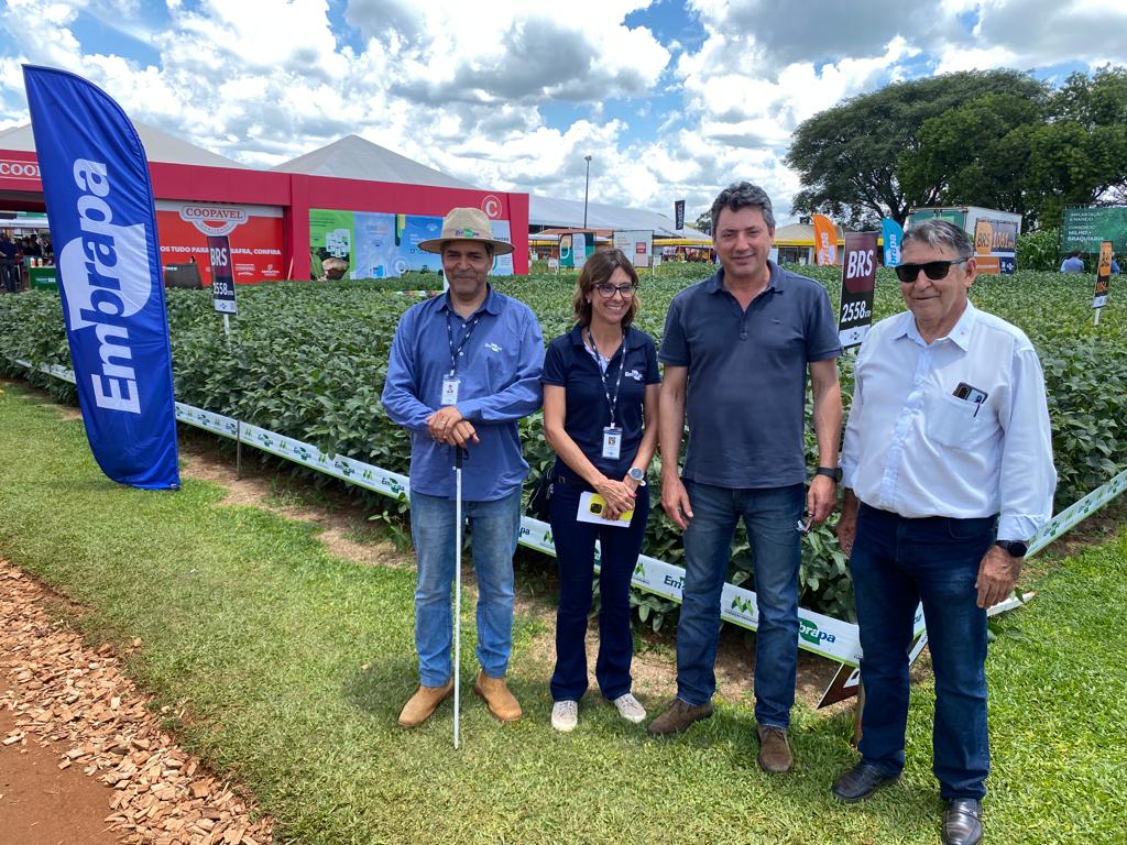 FundaÃ§Ã£o Meridional e Embrapa realizam lanÃ§amento de nova cultivar ...